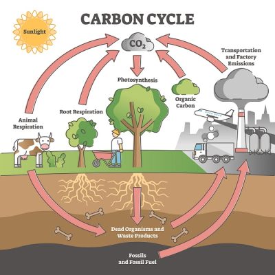 Soil Carbon Sequestration - Can it mitigate climate change?