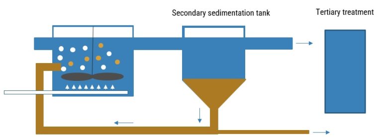 Membrane bioreactors | Guy Sela | Cropaia