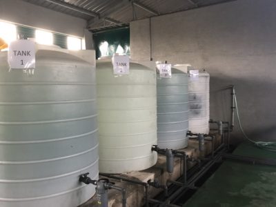 Fertigation and How it Works | Guy Sela | Cropaia